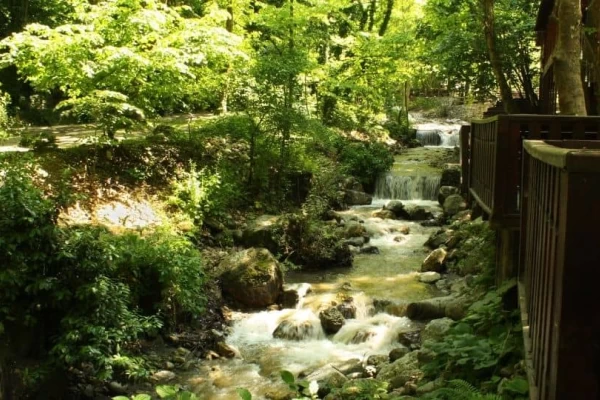 Things To Do In Sapanca Turkey | Sapanca Lake Tour | Kartepe Ski Center ...